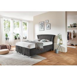 Boxspringbett, grau (mikrovelours anthrazit), Liegefl&auml;che B/L: 140cm x 200cm, H3, 5-Zonen-Tonnentaschen-Federkernmatratze, Bezug Unterbox und Kopfteil: Mikrovelours, 100% Polyester;Bezug Obermatratze 100% Polyester, waschbar bis 60C, Westfalia Schlafkomfort, Komplettbetten, Boxspringbett, in diversen Ausf&uuml;hrungen