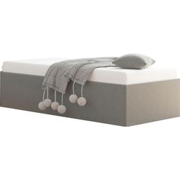 Polsterbett "Amrum", grau, B:205cm L:205cm, Bezug Glanzvelours, 100% Polyester, Polsterung 100% Polyester, Gestell Holzwerkstoff, Westfalia Schlafkomfort, Betten, in Samtvelours ohne Kopfteil, mit und ohne Bettkasten erhältlich