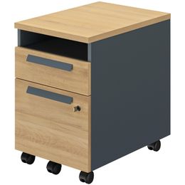 Aktenschrank GAMI "ARCADE" Schränke Gr. B/H/T: 42 cm x 62 cm x 60 cm, 2 Schublade, 1 Nische-1 Schublade mit Stiftablage-1 Schublade für Hängeregister, braun (anthrazit, eiche bocage) wahlweise 1 Schublade für Hängeregister oder Stiftbox