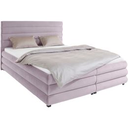 Polsterbett "Maylis", rosa (rosé), B:172cm L:211cm, 100% Polyester, LeGer Home by Lena Gercke, Betten, Polsterbett ohne Bettkasten Polsterbett, wahlweise mit und ohne Matratze und Lattenrost, auch in 200cm Breite