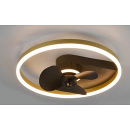 LED Deckenleuchte Trio LEUCHTEN "Borgholm Deckenventilator" Lampen Gr. Ø 50,0 cm Höhe: 15,0 cm, schwarz (schwarz matt) Deckenlampe, Ventilator, Fernbedienung, Ventilator getrennt schaltbar