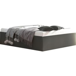 Polsterbett "Amrum", grau (anthrazit), B:165cm L:205cm, Bezug Glanzvelours, 100% Polyester, Polsterung 100% Polyester, Gestell Holzwerkstoff, Westfalia Schlafkomfort, Betten, in Samtvelours ohne Kopfteil, mit und ohne Bettkasten erhältlich