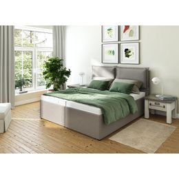 Polsterbett Maintal "Lyara", grau (hellgrau), B:187 L:215, Struktur fein (100% Polyester), Betten, wahlweise ohne Matratze oder mit 3 Matratzenarten zur Auswahl