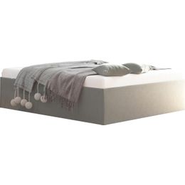 Polsterbett "Amrum", grau, B:165cm L:205cm, Bezug Glanzvelours, 100% Polyester, Polsterung 100% Polyester, Gestell Holzwerkstoff, Westfalia Schlafkomfort, Betten, in Samtvelours ohne Kopfteil, mit und ohne Bettkasten erhältlich