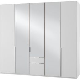 Kleiderschrank wimex "New York" Schränke Gr. B/H/T: 225 cm x 208 cm x 58 cm, 5 St., weiß (weiß, spiegel) mit Spiegeltür