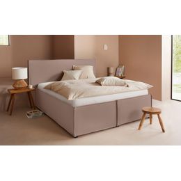 Polsterbett "Isaline", grau (taupe), B:193cm L:213cm, 100% Polyester, LeGer Home by Lena Gercke, Betten, Polsterbett ohne Bettkasten Polsterbett, wahlweise ohne Matratze oder mit 3 Matratzenarten, Kopfteilhöhe 107 cm