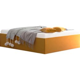 Polsterbett "Amrum", gelb (sonnengelb), B:185cm L:205cm, Bezug Glanzvelours, 100% Polyester, Polsterung 100% Polyester, Gestell Holzwerkstoff, Westfalia Schlafkomfort, Betten, in Samtvelours ohne Kopfteil, mit und ohne Bettkasten erhältlich