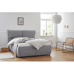 Polsterbett Andas "Jenson", grau, B:168cm, Struktur weich (85% Polyester/15% Nylon), Betten, als Bettgestell oder mit 3 Matratzenarten und Härtegraden