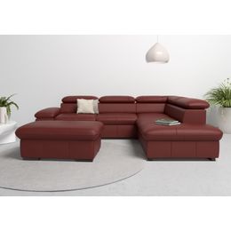 Stauraumhocker Home Affaire "Alberto" Hocker Gr. B/H/T: 101 cm x 43 cm x 68 cm, NaturLEDER, rot (merlot) gross, mit Stauraum