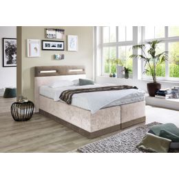 Boxspringbett, beige (dunkelbeige, beige), Kaltschaum-Topper, Liegefl&auml;che B/L: 140cm x 200cm, H2, Bonnell-Federkernmatratze, Bezug Obermatratze 100% Polyester, waschbar bis 60C;Bezug Unterbox und Kopfteil: Mikrofaservelours (100% Polyester), Westfalia Schlafkomfort, Komplettbetten, Boxspringbett, mit LED-Beleuchtung, Topseller