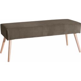 Sitzbank Max Winzer "Sit" Sitzbänke Gr. B/H/T: 114 cm x 48 cm x 40 cm, Samtvelours 20442, beige (sahara) mit hohen konischen Füßen