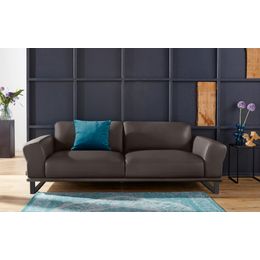 2,5-Sitzer W.Schillig "montanaa", braun (braun z59), B:232cm H:78cm T:94cm, Sofas, mit Metallkufen in Schwarz pulverbeschichtet, Breite 232 cm