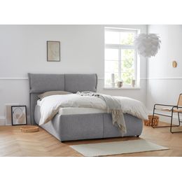 Polsterbett Andas "Jenson", grau, B:168 L:225, Struktur weich (85% Polyester/15% Nylon), Betten, als Bettgestell oder mit 3 Matratzenarten und Härtegraden