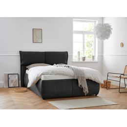 Polsterbett Andas "Jenson", grau (anthrazit), B:168cm L:225cm, Struktur weich (85% Polyester/15% Nylon), Betten, als Bettgestell oder mit 3 Matratzenarten und Härtegraden