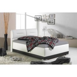 Polsterbett Maintal, schwarz-wei&szlig; (wei&szlig;, schwarz), B:152cm L:212cm, Ausf. 2-5 Matratzenbezug aus 100% Polyester, Betten, Polsterbett, mit verstellbaren Kopfteil-Elementen