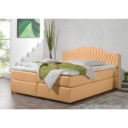 Boxspringbett Maintal, braun (karamell), Liegefl&auml;che B/L: 160cm x 200cm, H2 + H2, 5-Zonen-Tonnentaschen-Federkernmatratze, Seitliche Einfassung Unterbox und Obermatratze: Mikrovelours (100% Polyester);Spiegelfl&auml;che der Unterbox und Obermatratze: 100% Polyester, Komplettbetten, Boxspringbett, in diversen Ausf&uuml;hrungen