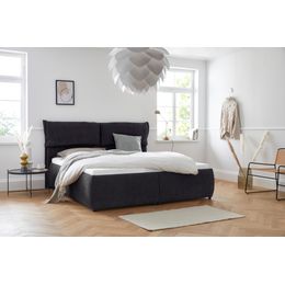 Polsterbett Andas "Jenson", grau (anthrazit), B:208 L:225, Struktur weich (85% Polyester/15% Nylon), Betten, als Bettgestell oder mit 3 Matratzenarten und Härtegraden