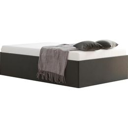 Polsterbett "Amrum", grau (anthrazit), B:145cm L:205cm, Bezug Glanzvelours, 100% Polyester, Polsterung 100% Polyester, Gestell Holzwerkstoff, Westfalia Schlafkomfort, Betten, in Samtvelours ohne Kopfteil, mit und ohne Bettkasten erhältlich