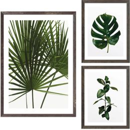 Bild mit Rahmen Komar "Statement Greens" Bilder Gr. B/H: 2x 30x40 cm und 1x 50x70 cm, Statement Greens 2 x 30 x 40 cm und 1 x 50 x 70 cm, 3 St., bunt maschinell