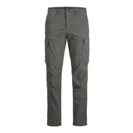 Jack & Jones Jack & Jones Cargo Pants 'JPSTAce JJTucker' male Grey size 31