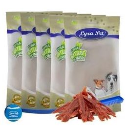 5 kg LYRA PET® Entenbrust + Ballschleuder