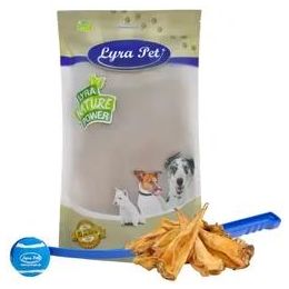 100 Stk. LYRA PET® Rinderohren ca. 3 kg + Ballschleuder