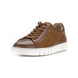 Pius Gabor Sneakers male Brown size 43