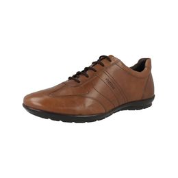 Geox Lace-Up Shoes 'Symbol' male Brown size 43,5