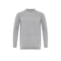 Dandalo Pullover Herren Gr&ouml;&szlig;e XXL grau