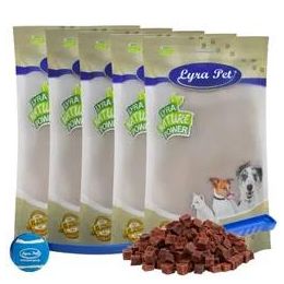 5 kg LYRA PET® Rindfleischwürfel + Ballschleuder