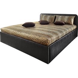 Polsterbett, schwarz, B:148cm L:210cm, Bezug Bett: Kunstleder;Bonnell-Federkernmatratze: 51% Polypropylen, 39% Polyester, 10% Baumwolle;Kaltschaummatratze: 100% Polyester, Bezug abnehm- und waschbar bis 60C, Westfalia Schlafkomfort, Betten, inkl. Bettkasten bei Ausführung mit Matratze