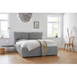 Polsterbett Andas "Jenson", grau, B:188cm L:225cm, Struktur weich (85% Polyester/15% Nylon), Betten, als Bettgestell oder mit 3 Matratzenarten und Härtegraden
