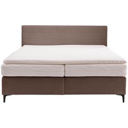 Boxspringbett Alina "Pico", braun (braungrau gct 149), B:192cm L:212cm, Cord GCT (92% Polyeste, 8% Nylon), Komplettbetten, Boxspringbett, inkl. Matratzen und Topper