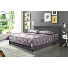 Polsterbett, grau (anthrazit), B:172cm L:212cm, Bezug Bett: Kunstleder;Bonnell-Federkernmatratze: 51% Polypropylen, 39% Polyester und 10% Baumwolle;Kaltschaummatratze: 100% Polyester, Bezug abnehm- und waschbar bis 60C, Westfalia Schlafkomfort, Betten, inkl. Bettkasten bei Ausführung mit Matratze