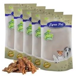 5 kg LYRA PET® Rinderlunge