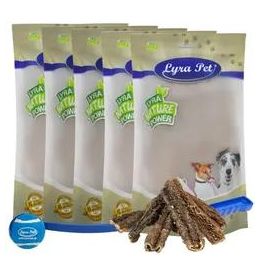 5 kg LYRA PET® Rinderpansen 12 - 15 cm + Ballschleuder