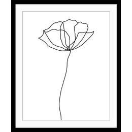 Bild queence "Susanne" Bilder Gr. B/H: 50 cm x 70 cm, Wandbild Blumen Hochformat, schwarz-weiß (schwarz, weiß) Rose, gerahmt