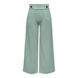 Jacqueline de Yong JDY Pants 'Geggo' female size 34 Mint