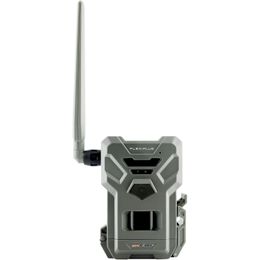 Spypoint Wildkamera Flex Plus