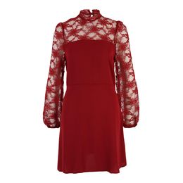 Dorothy Perkins Kleid Damen Gr&ouml;&szlig;e 36 brombeer