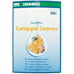 Dennerle Catappa Leaves 10Stück