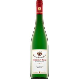 Domdechant Wernersches Weingut Guts- Riesling 2023 Trocken - Rheingau &ndash; Wei&szlig;wein Qualit&auml;tswein