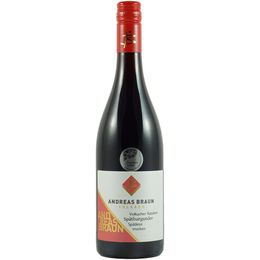 Weingut Andreas Braun Sp&auml;tburgunder 2022 Trocken - Volkacher Ratsherr Franken &ndash; Rotwein Sp&auml;tlese