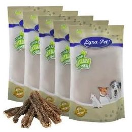 5 kg LYRA PET® Rinderpansen 12 - 15 cm