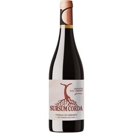 Compa&ntilde;ia Vinicola Solterra Sursum Corda Joven Cebreros DO Garnacha Tinta 2022 Trocken - Kastilien und Le&oacute;n &ndash; Rotwein DOP