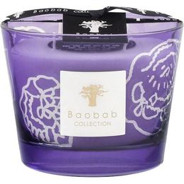 Baobab COLLECTION Baobab Home Duftkerzen Kerze Roses Dark