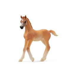 Schleich Arab foal