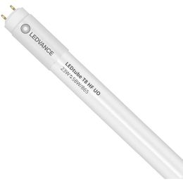 LEDVANCE LED Röhre T8 Performance (HF) Ultra Output 23W 3700lm - 865 Tageslichtweiß 150cm - Ersatz für 58W