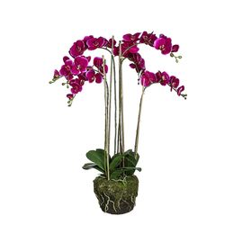 Sia Deco Künstliche Orchidee in Erde H100, Lila 1x100x1cm