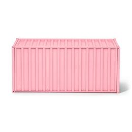 Magazin Container DS RAL 3015 Hellrosa